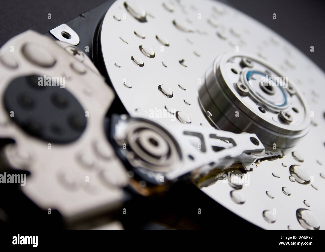 Read/write head of a computer hard drive Stock Photo - Alamy