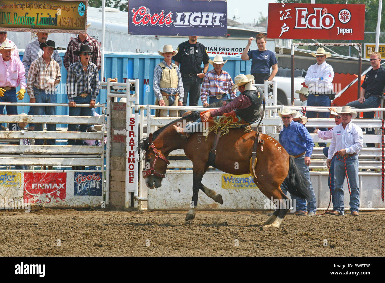 Bronco riding hi-res stock photography and images - Alamy