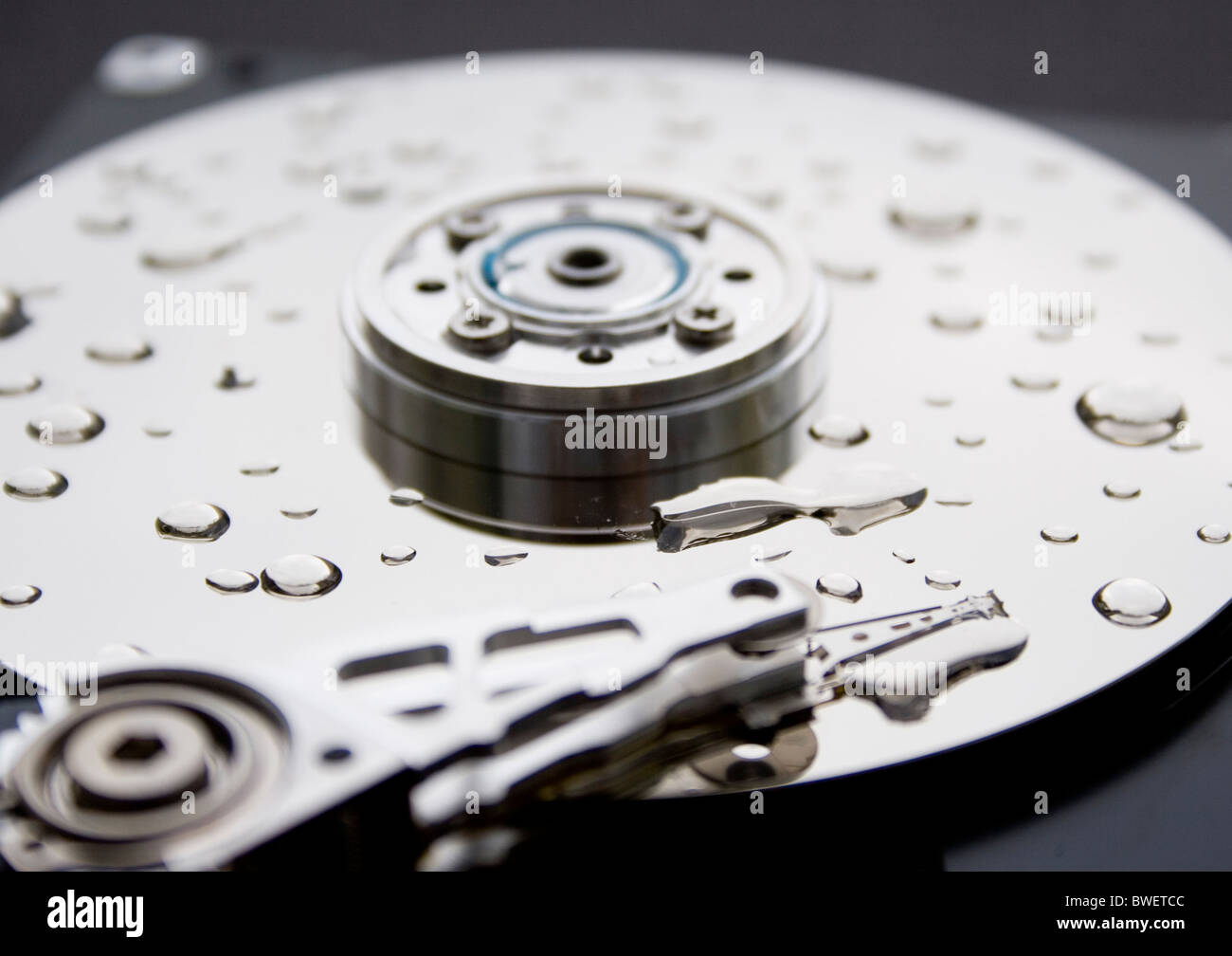 Head of a computer hard drive Stock Photo - Alamy