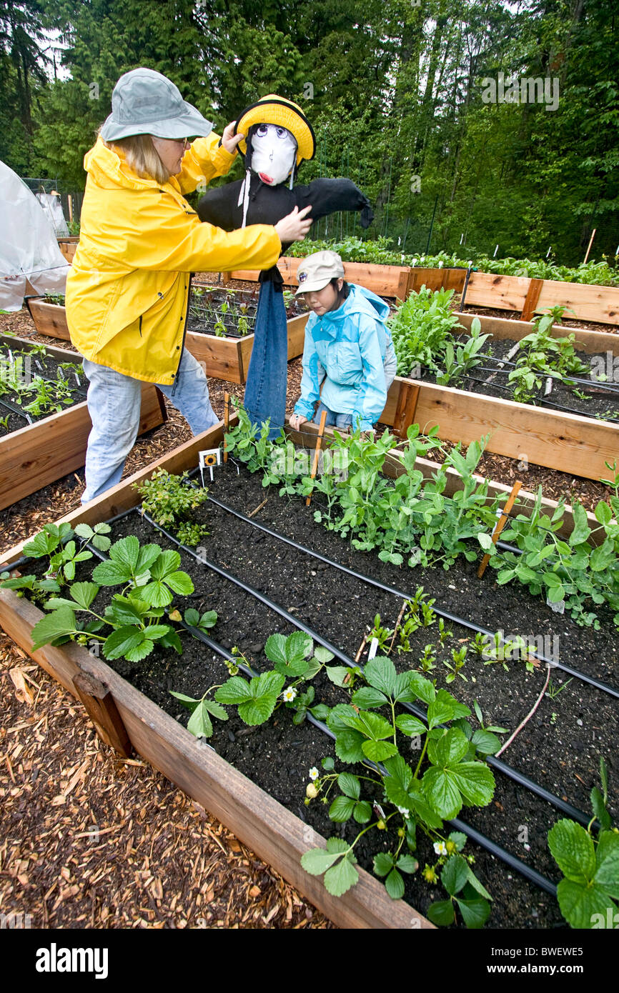 Woman and 9-year-old girl work in community P-Patch garden Stock Photo ...