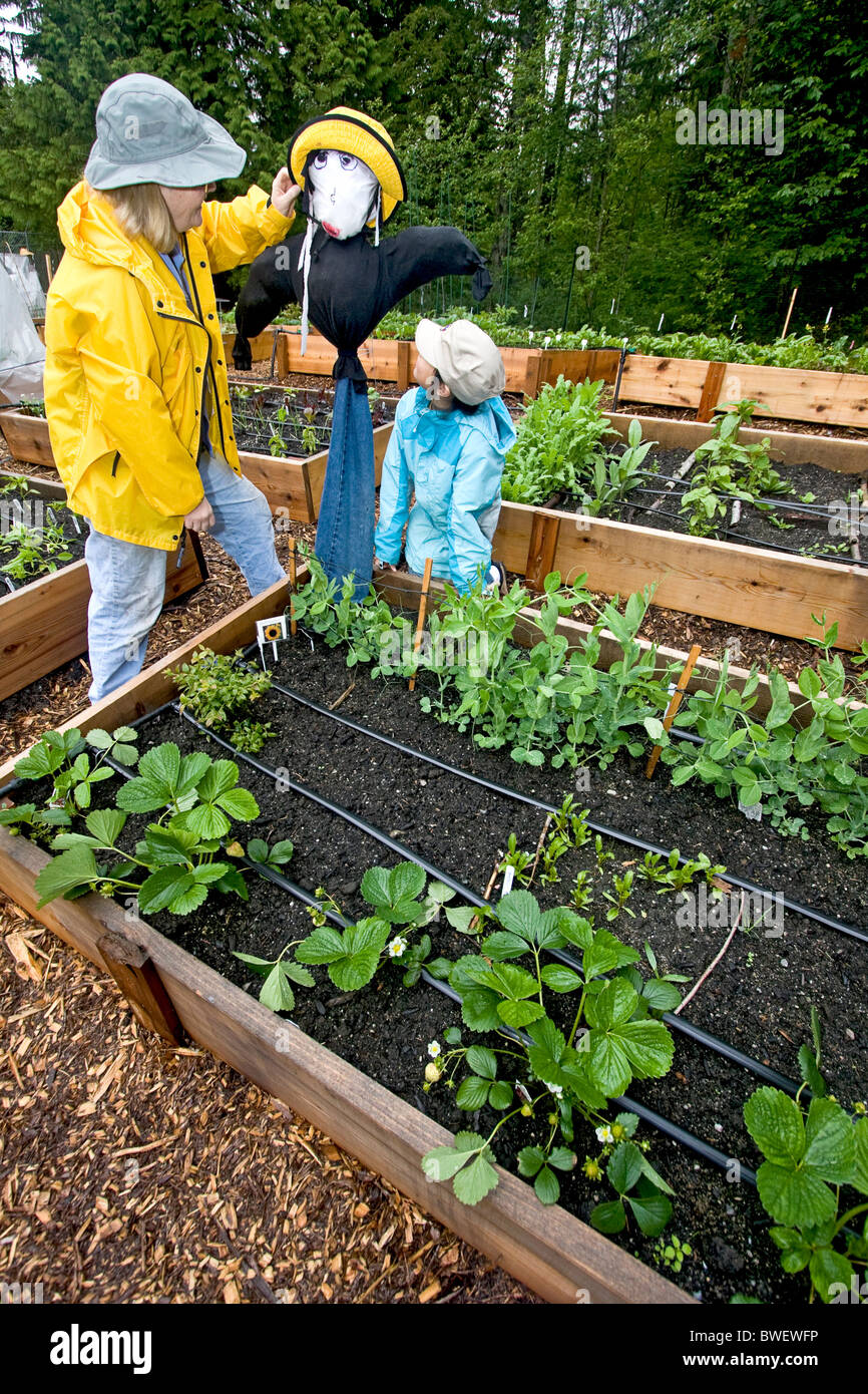 Woman and 9-year-old girl work in community P-Patch garden Stock Photo ...