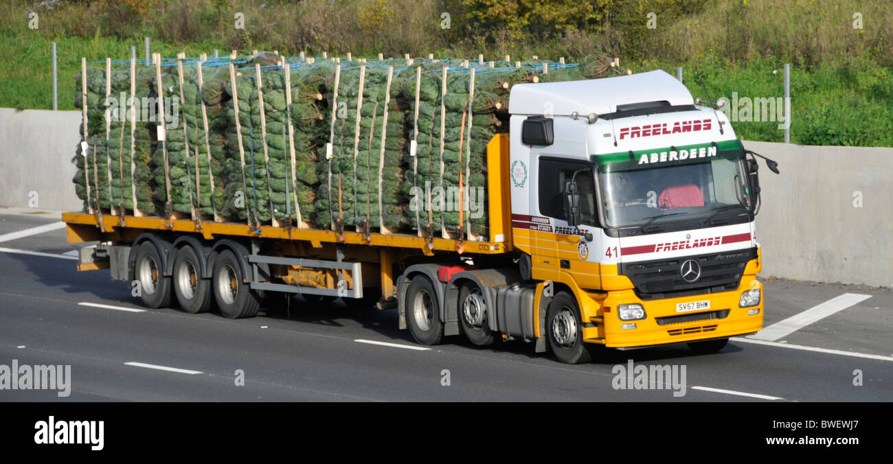 Loaded tree hi-res stock photography and images - Alamy