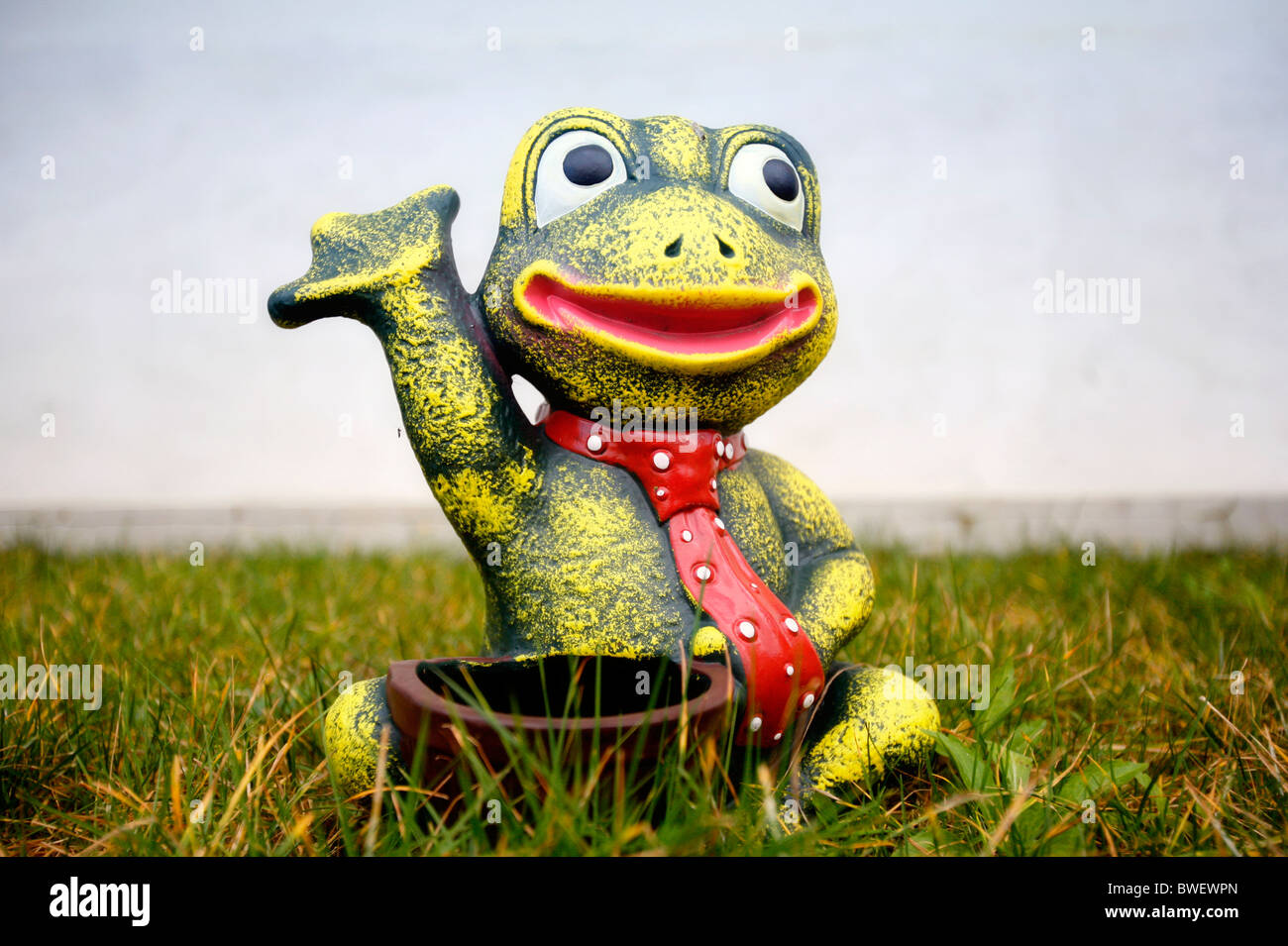Sapo jardim hi-res stock photography and images - Alamy