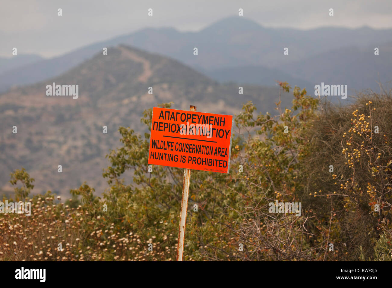 Prohibition hunting hi-res stock photography and images - Alamy