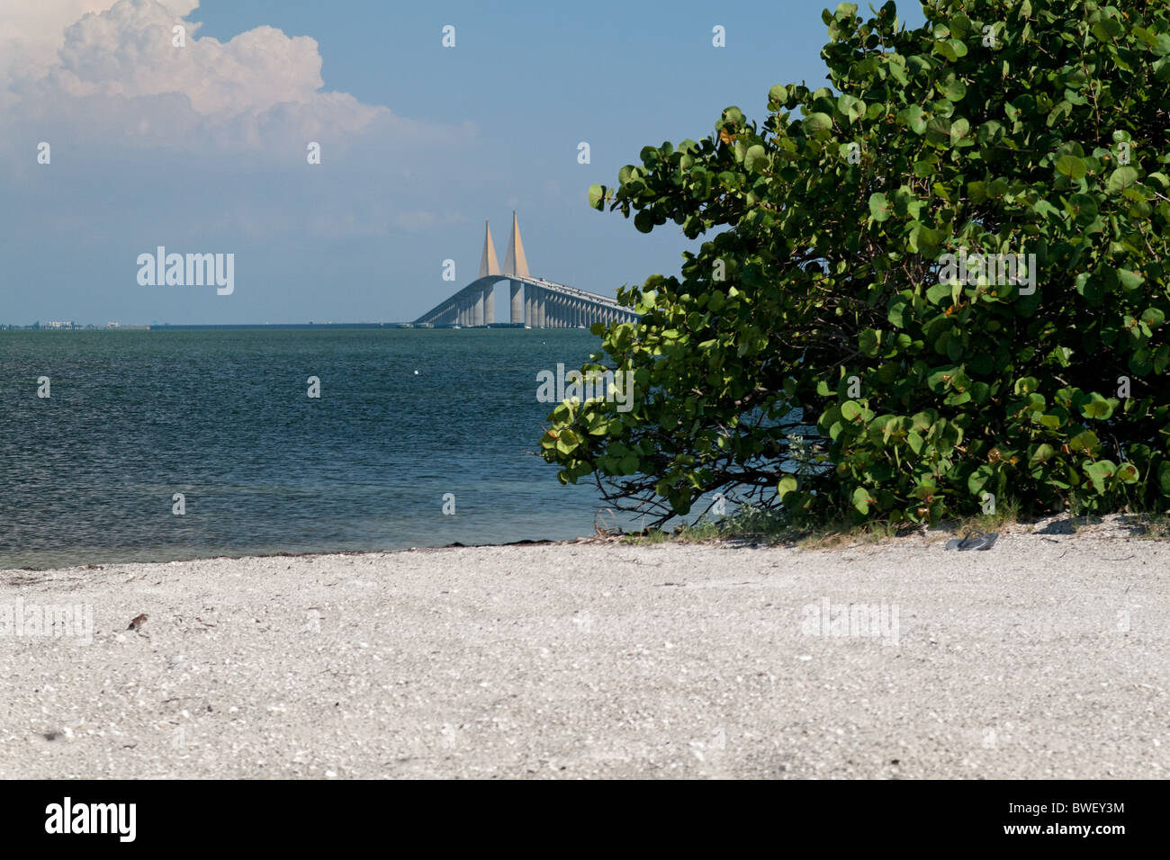 Tempa hi-res stock photography and images - Alamy