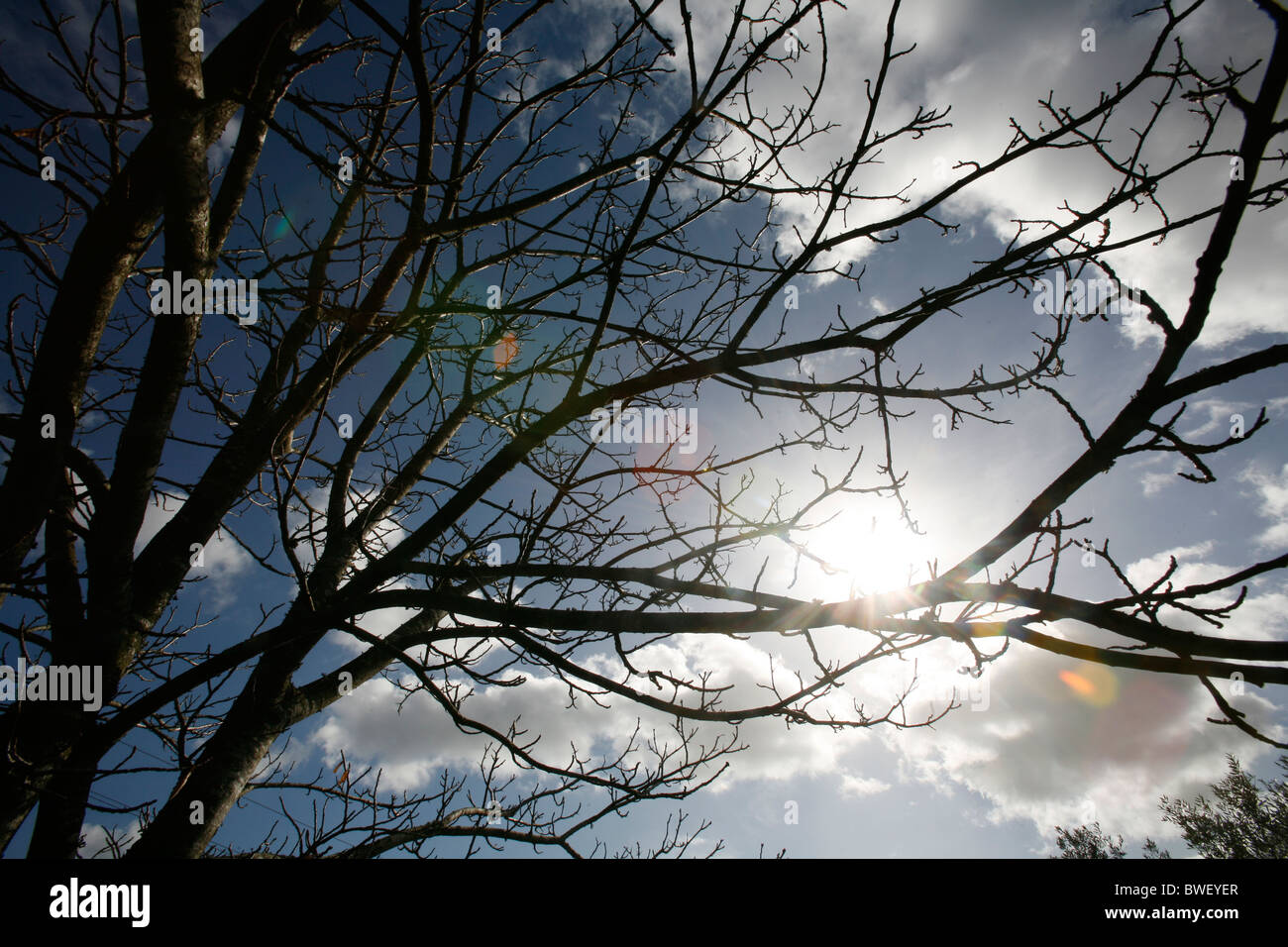 Silhuetas hi-res stock photography and images - Alamy