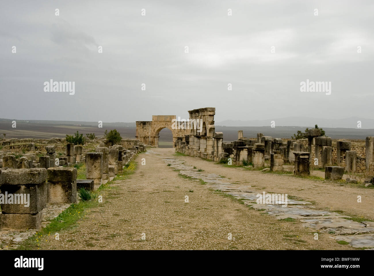 Volubilis, roman archaeological site in Morocco. Decumanus maximus ...