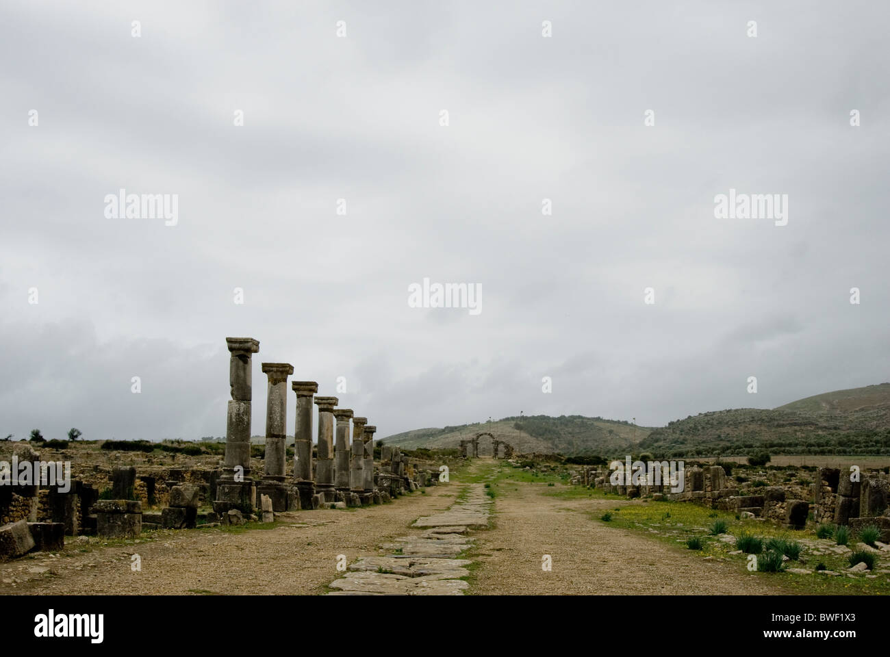 Volubilis, roman archaeological site in Morocco. Decumanus maximus ...