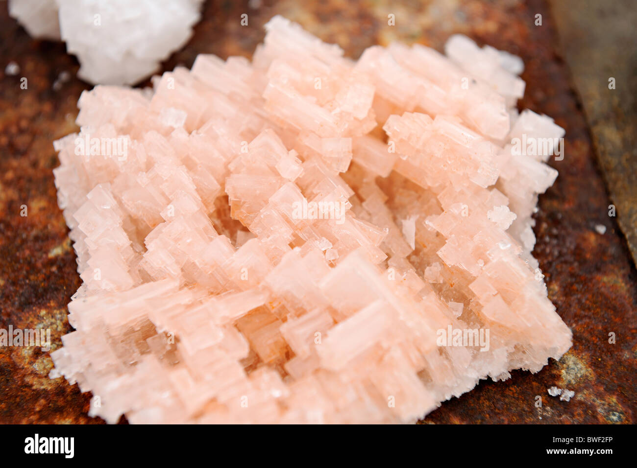 Natural salt crystals Namibia Stock Photo - Alamy