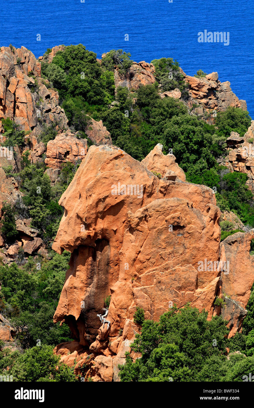 The Calanches of Piana in Corsica, France Stock Photo - Alamy