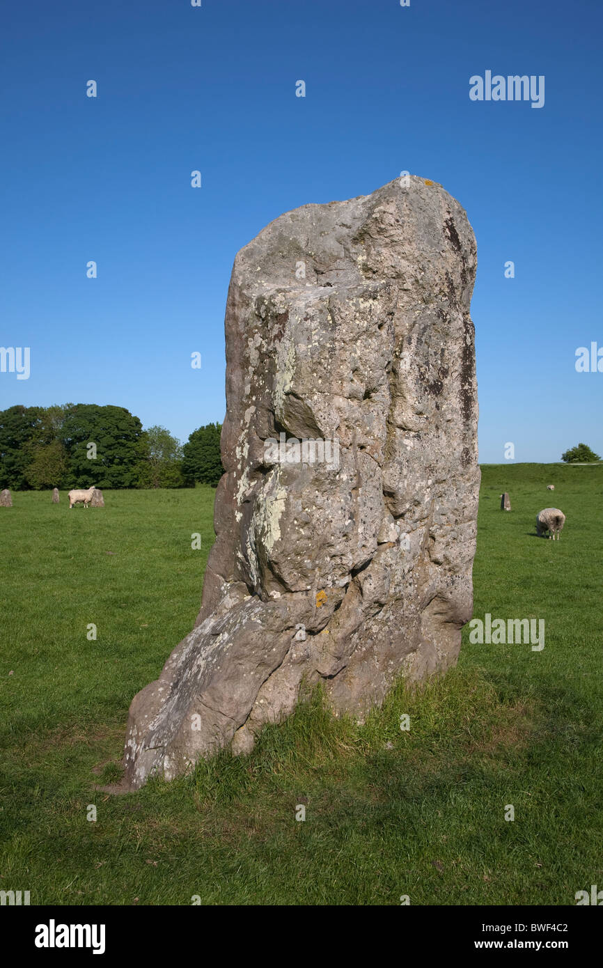 standing stone at Avebury stone circle in Wiltshire on a sunny summer ...