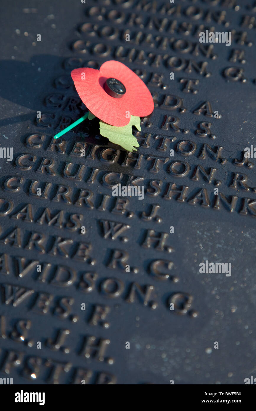 poppy on a first world war memorial Stock Photo - Alamy