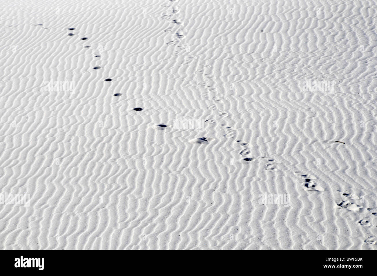 Hydrous sulfate hi-res stock photography and images - Alamy