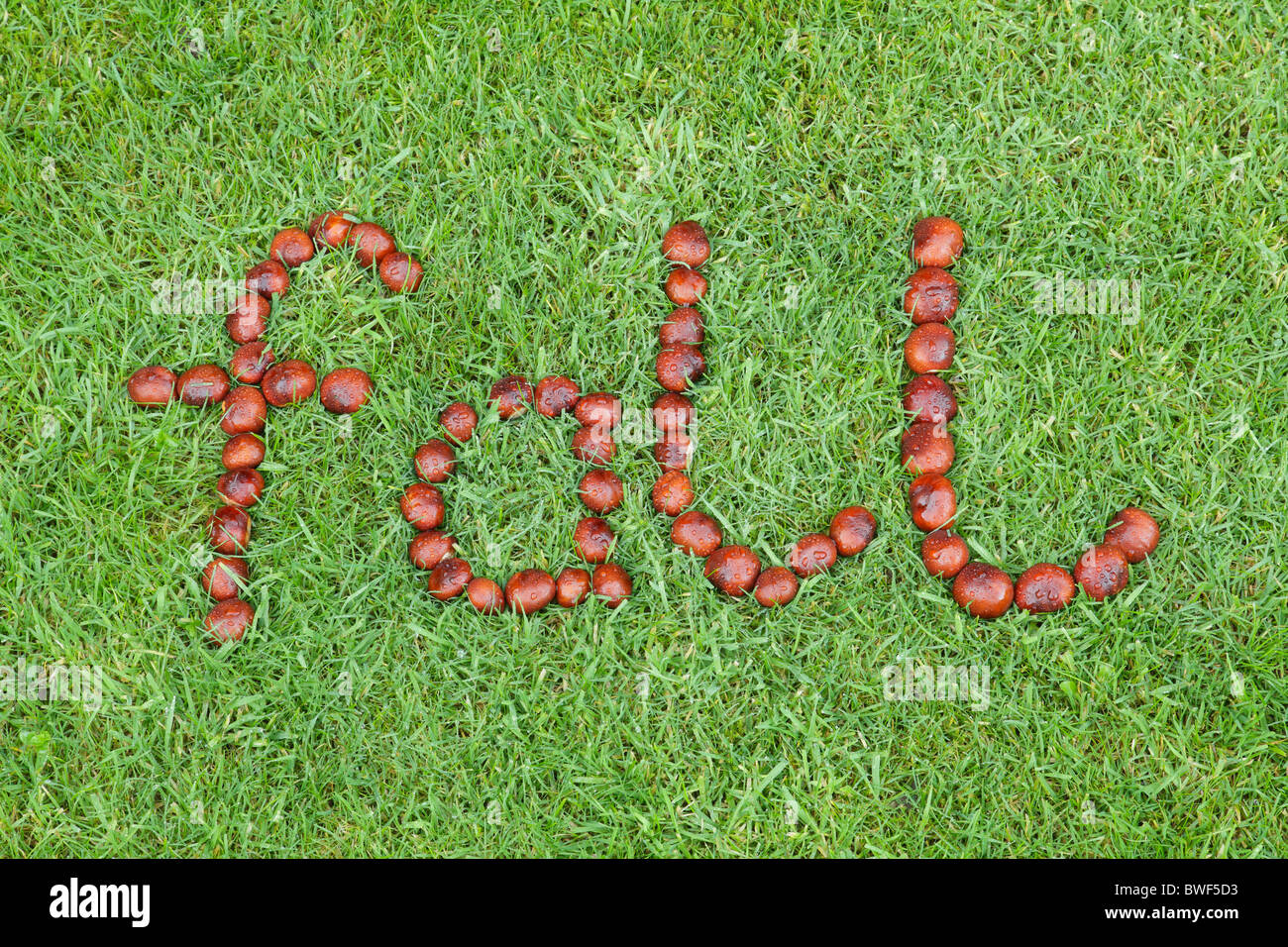 Fall word hi-res stock photography and images - Alamy