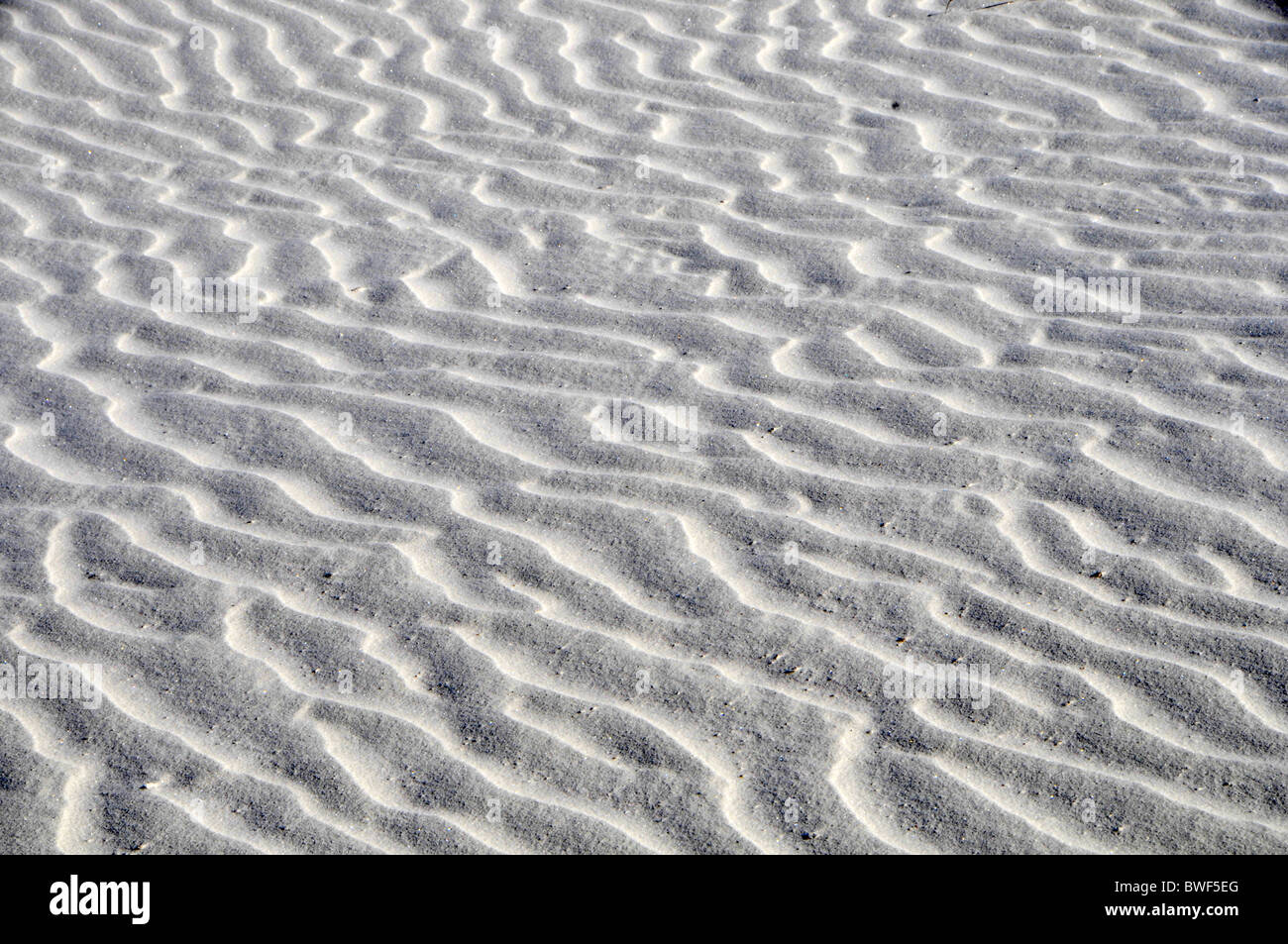 Wind patterns in sand White Sands National Monument New Mexico Stock ...