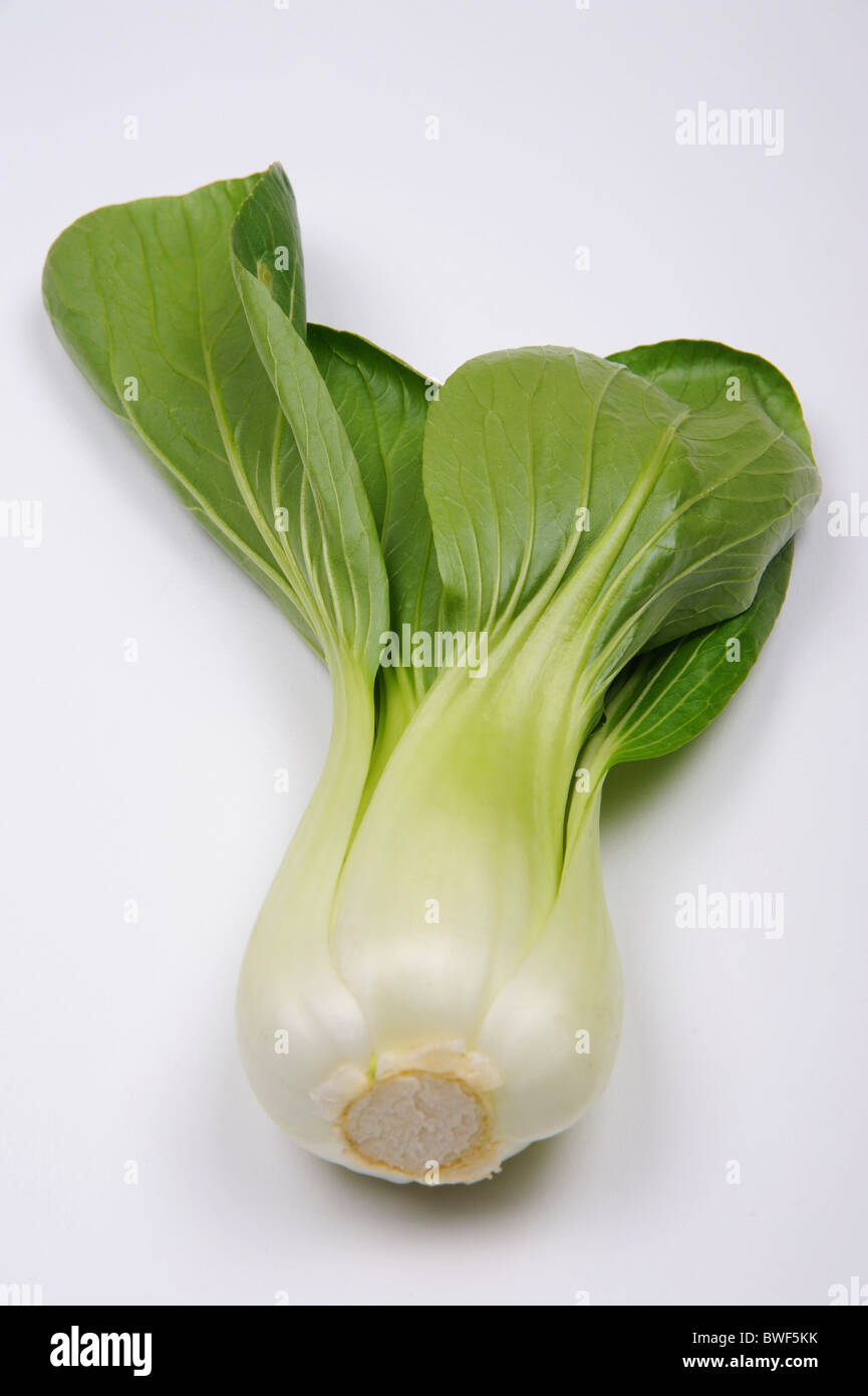 Pak choi on a white background Stock Photo - Alamy