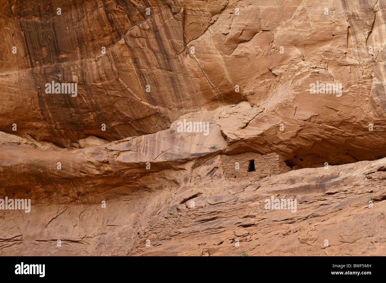 THE LONG HOUSE, about 1500 year old ruin of Native American Indians ...