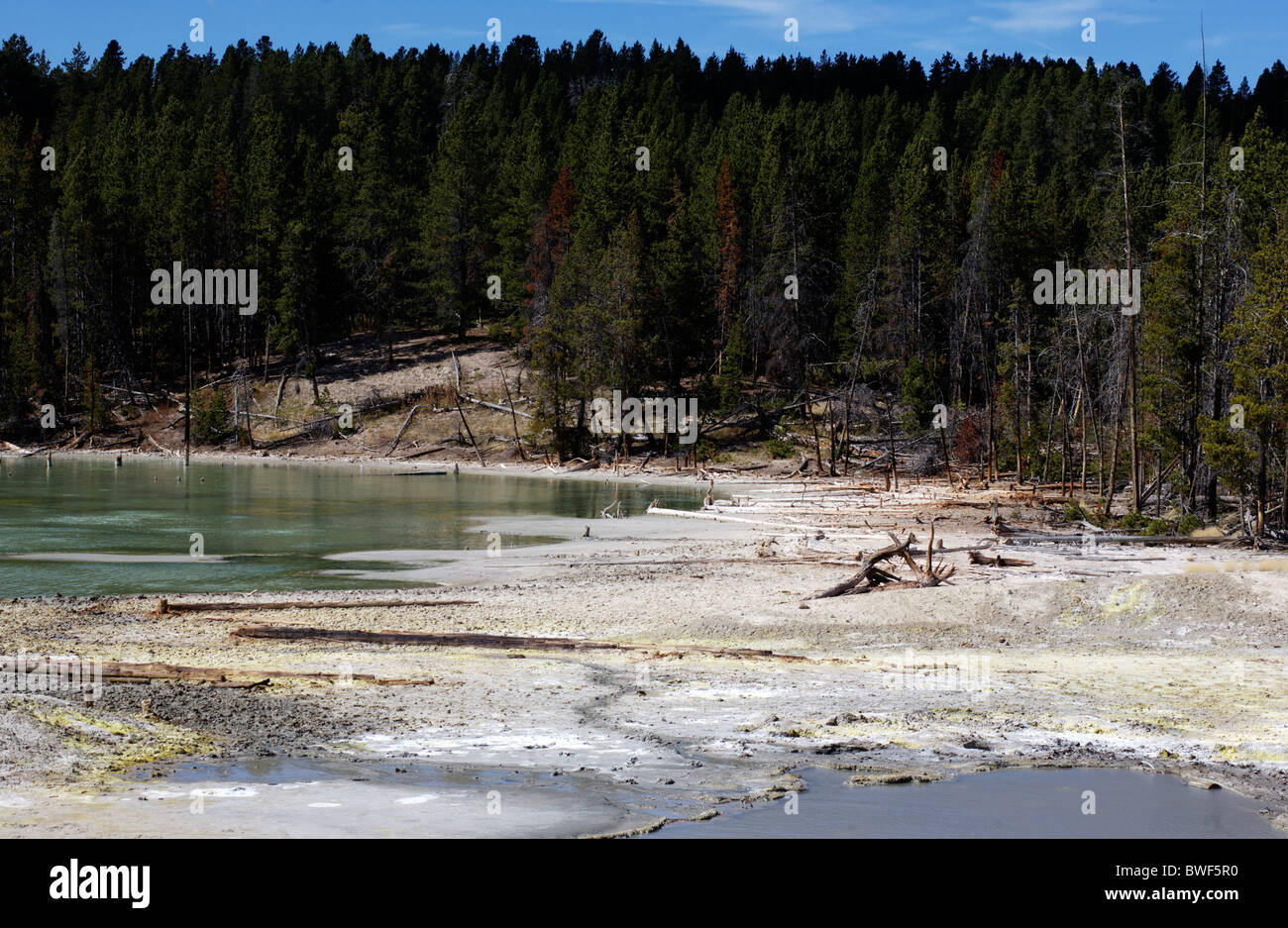 The Black Dragon Cauldron hot spring in Yellowstone National Park in ...