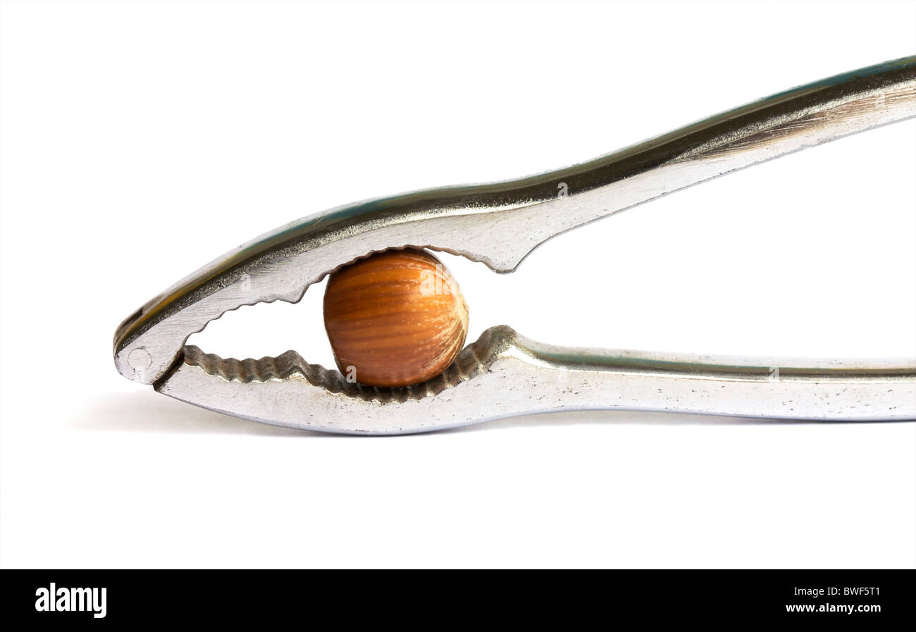 Metal nutcracker with a hazelnut isolated on a white background Stock ...