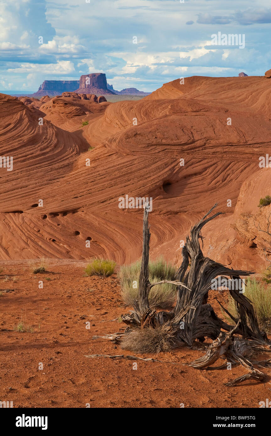 Typical landscape in the Mystery Valley, Arizona, USA Stock Photo - Alamy