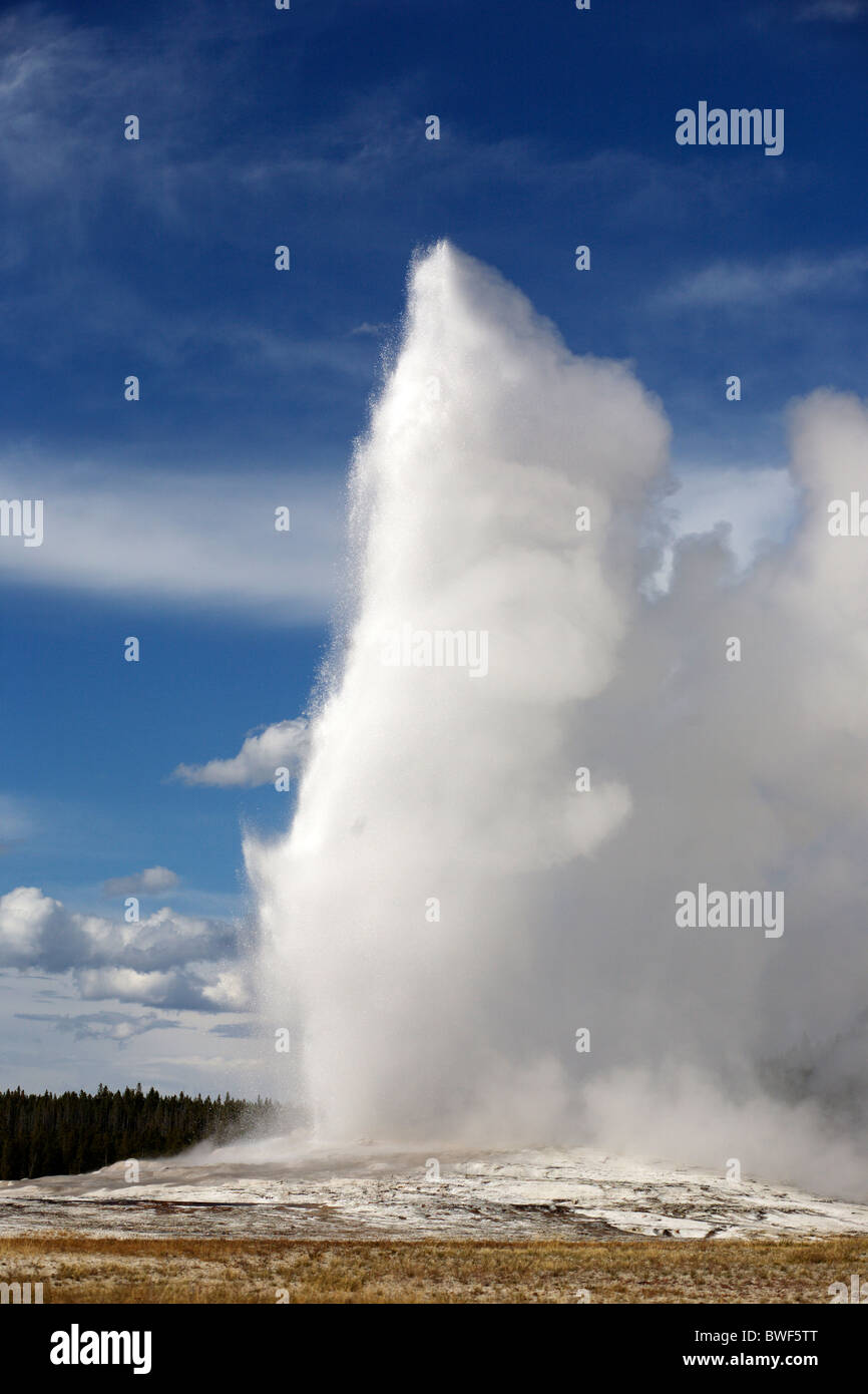 The Old Faithful geyser erupts at Yellowstone National Park in Wyoming ...