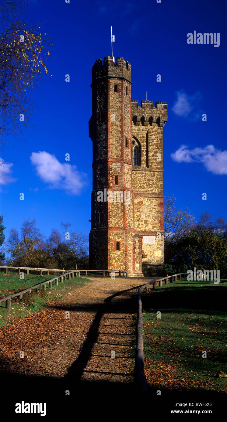 Leith hill tower, surrey autumn hi-res stock photography and images - Alamy