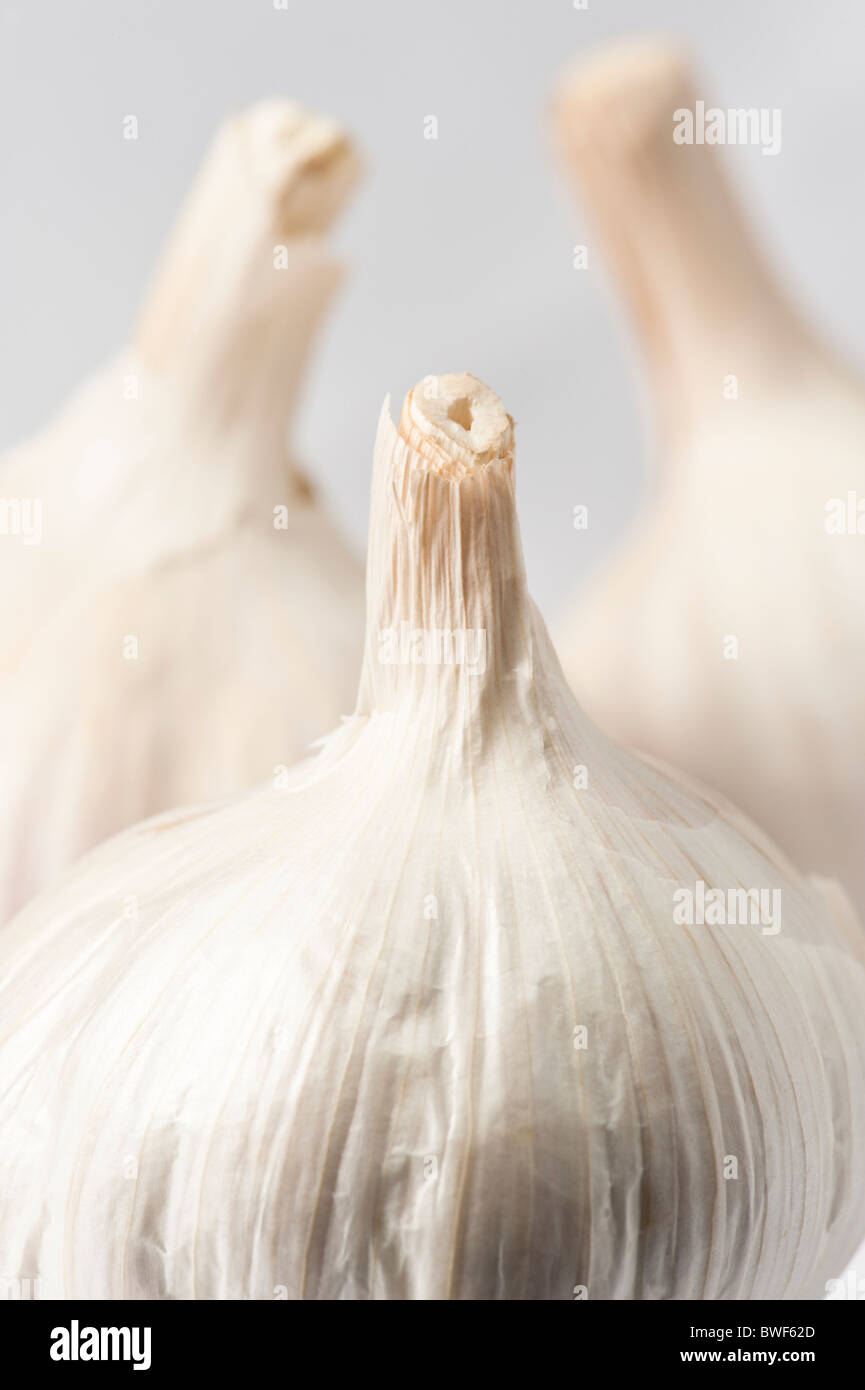 Pure white garlic hi-res stock photography and images - Alamy