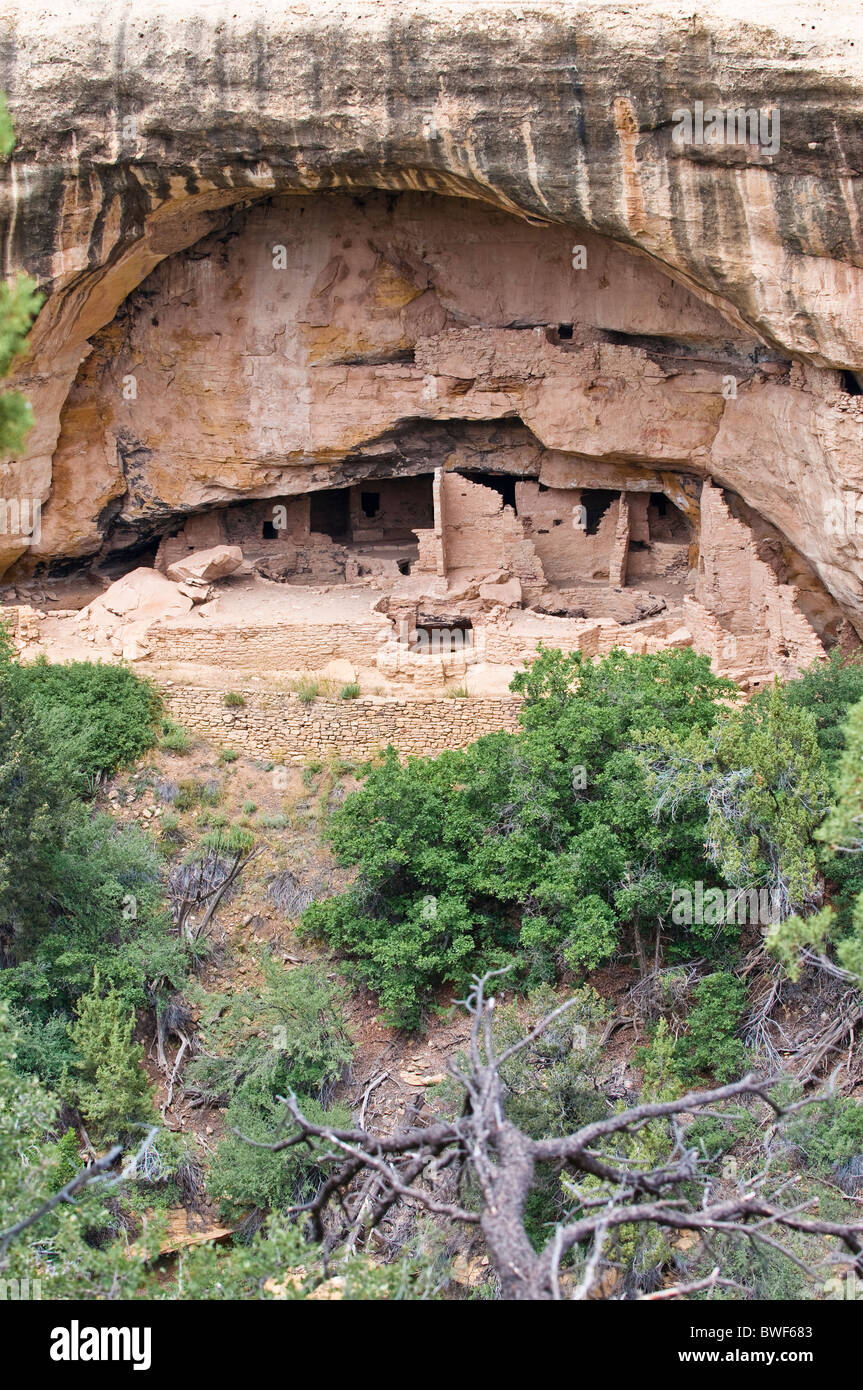 Oak Tree House, a cliff dwelling of the Ancestral Puebloans American ...