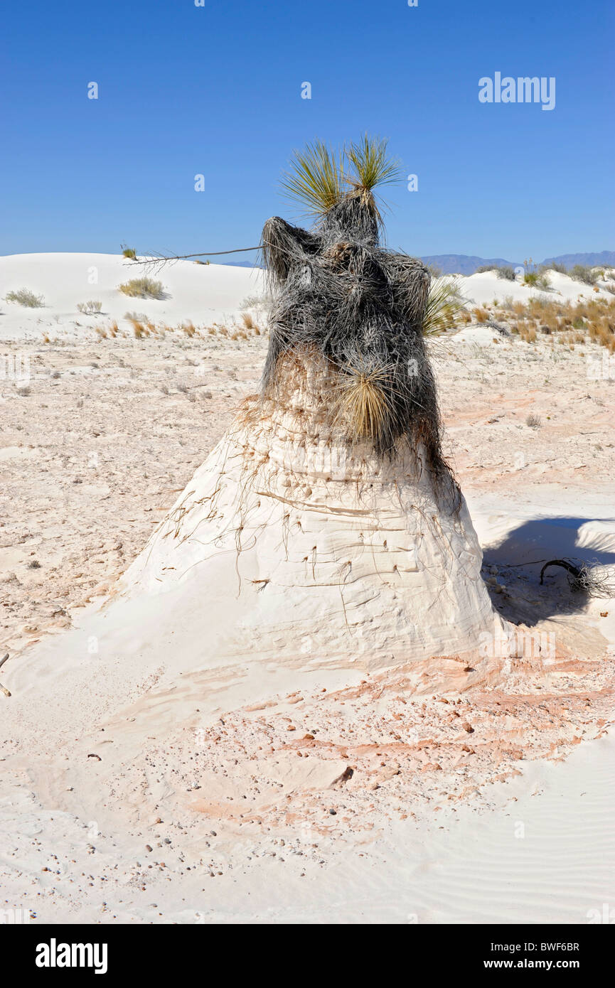 Sand mounds White Sands National Monument New Mexico Stock Photo - Alamy