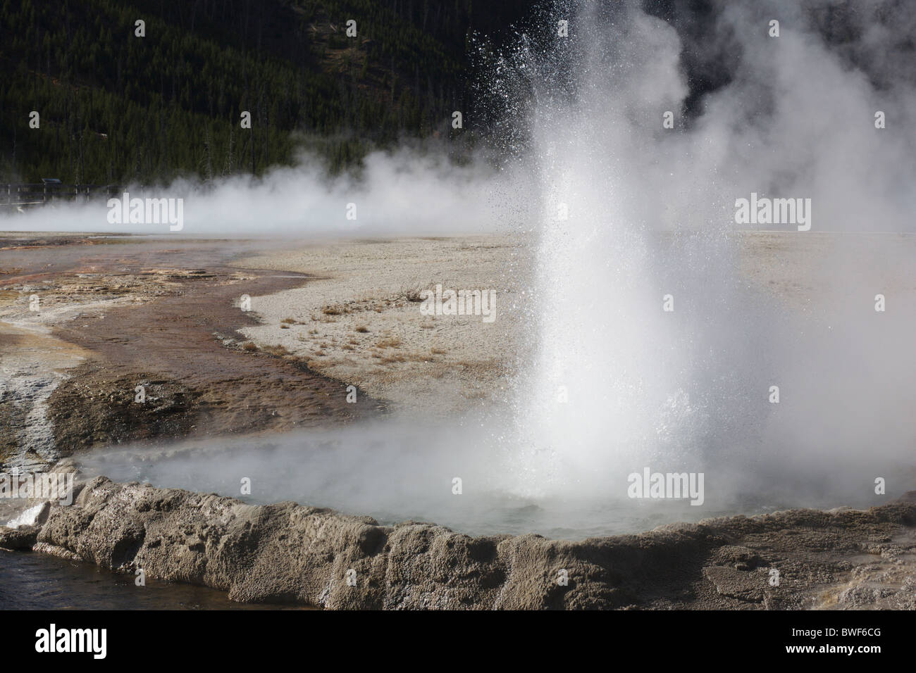 Cliff Geyser and Iron Spring Creek at Black Sands Basin themal area in ...