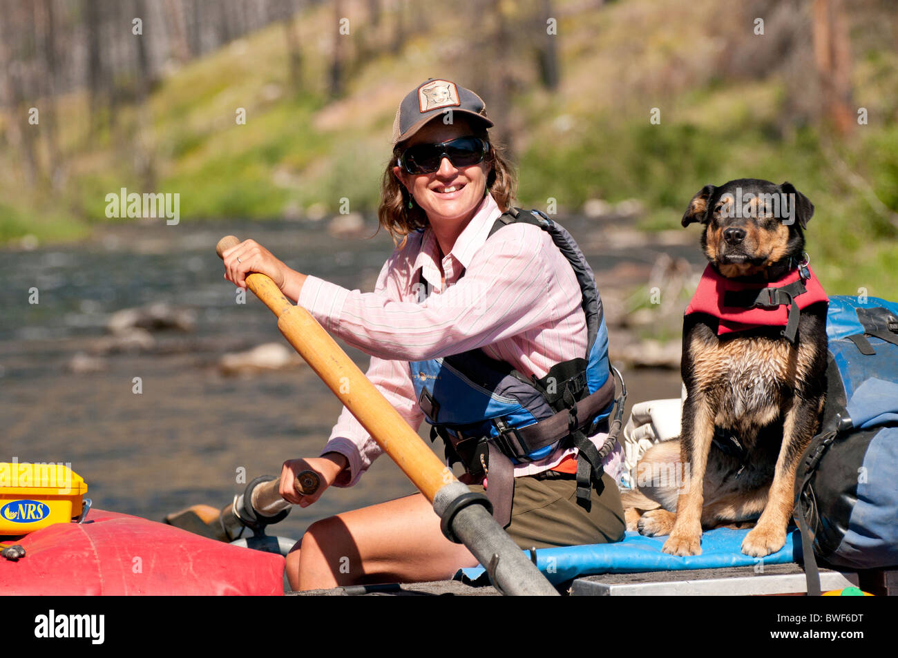 USA, Idaho, Female River rafting guide with her pet dog rowing on the ...