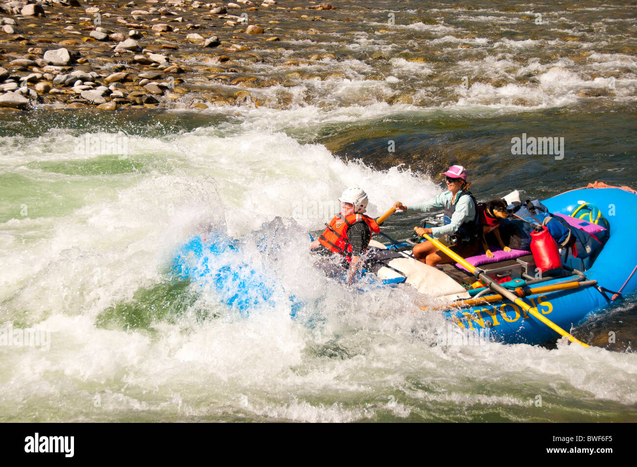 USA, Idaho, Rafting the Middle Fork of the Salmon River. Female Guide ...