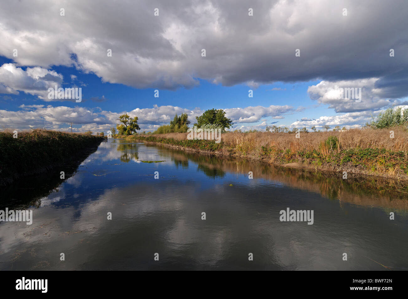 Irrigation canal for agricultural fields in the Delta Region, Central ...