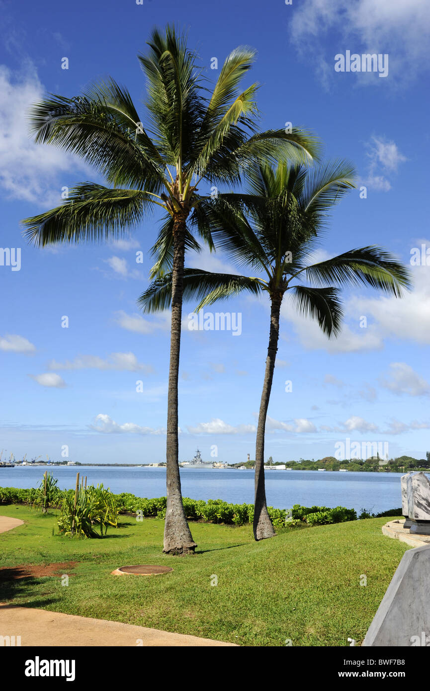 Palm Trees on display Pearl Harbor Pacific National Monument Hawaii ...