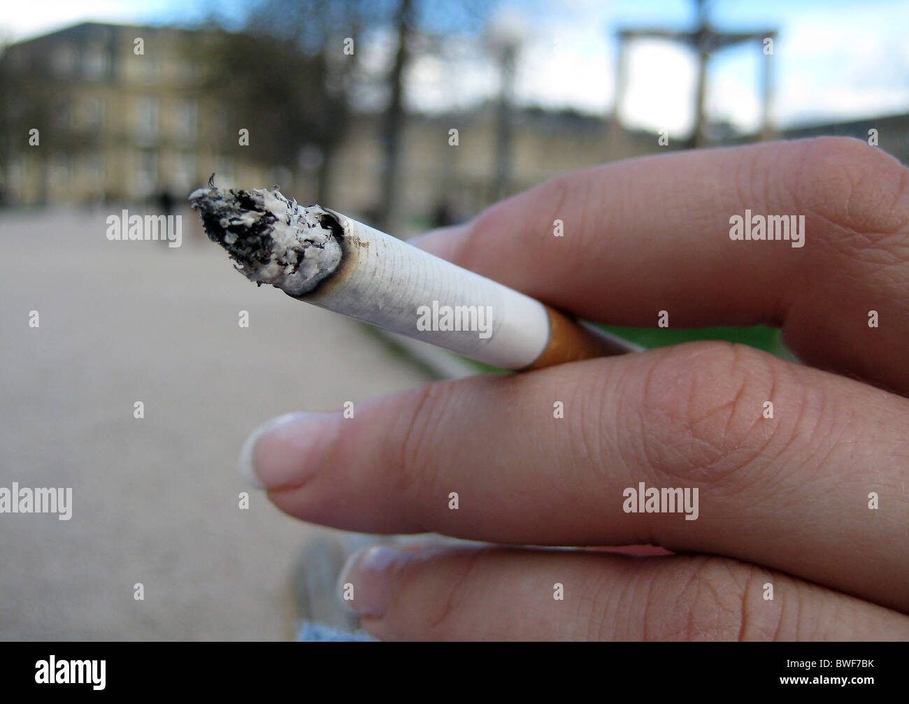 Cigarette Industry Horizontal High Resolution Stock Photography and ...