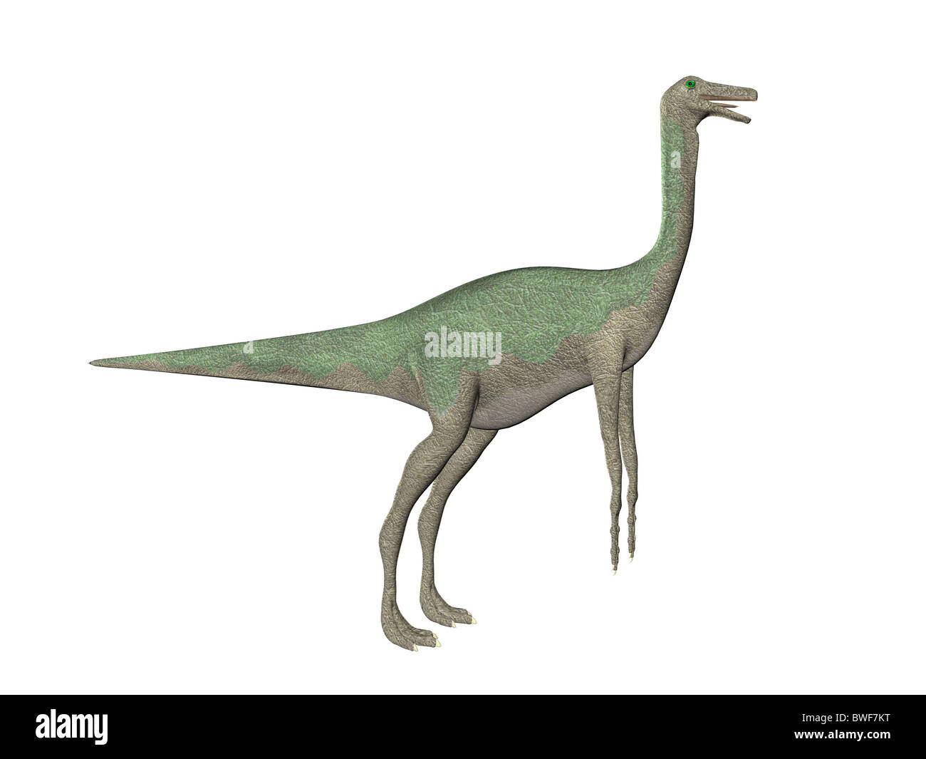 Gallimimus hi-res stock photography and images - Alamy