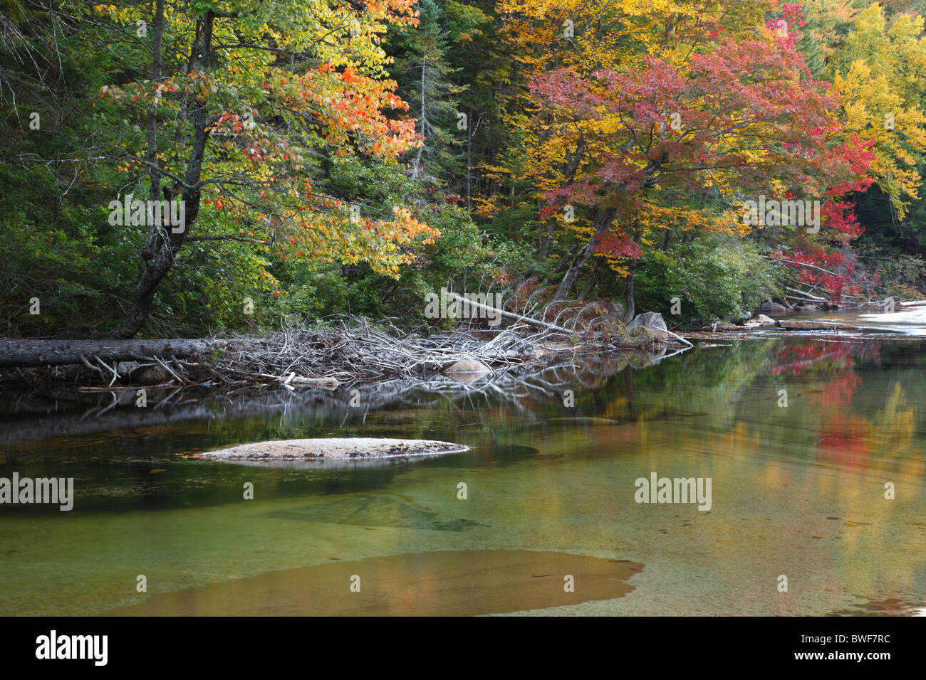 Swift River during the autumn months in the White Mountains, New ...