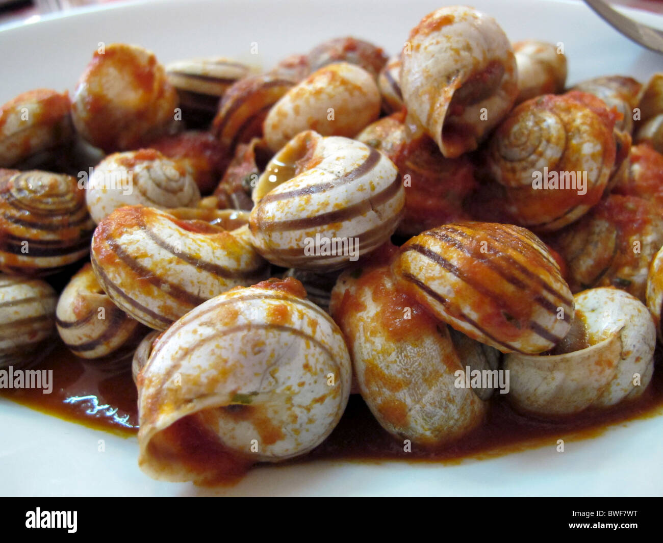Escargot dish hi-res stock photography and images - Alamy
