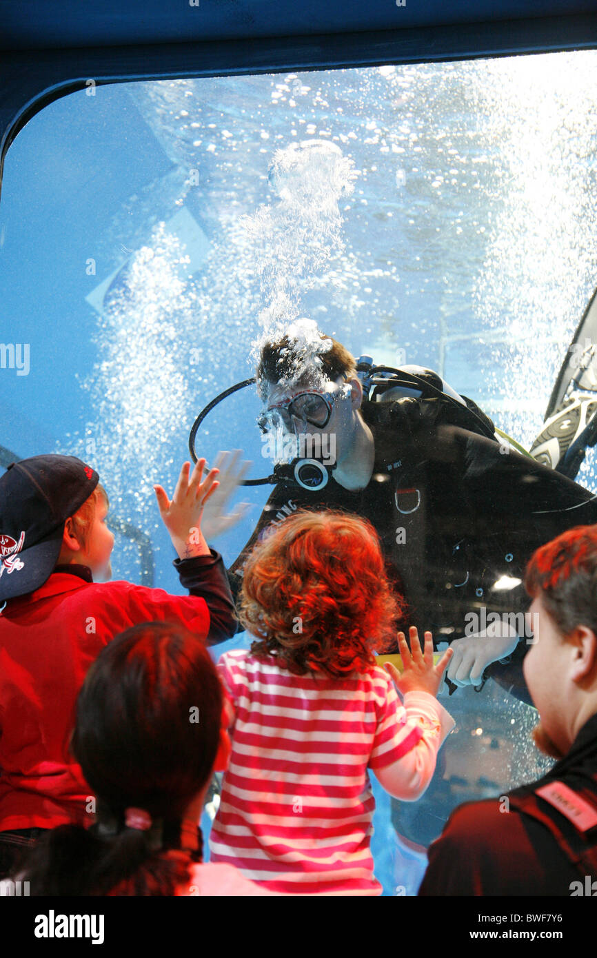 Modern diving suit underwater hi-res stock photography and images - Alamy