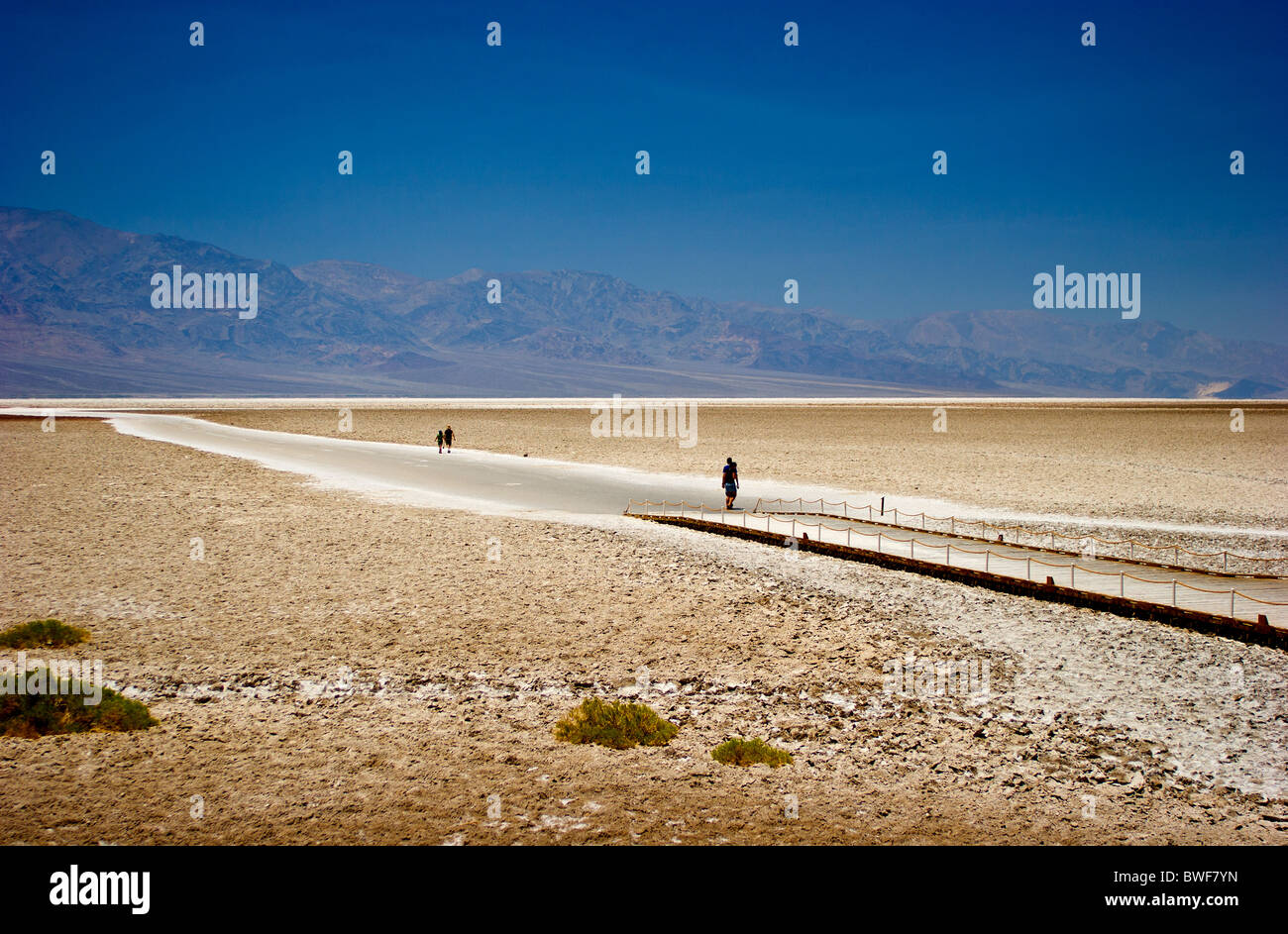 United States, California, Death Valley National Park Bad water Stock ...