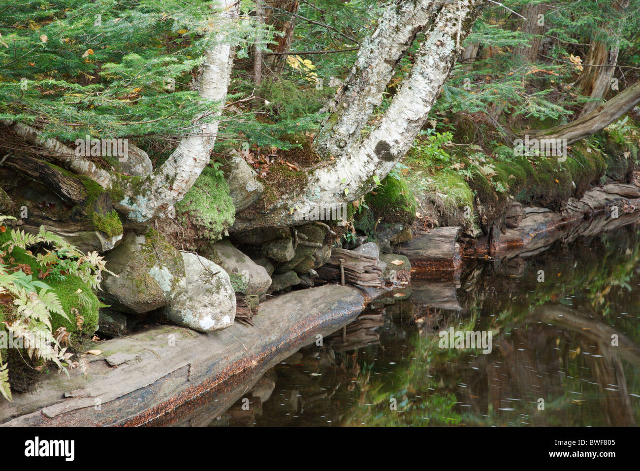 Swift river valley history hi-res stock photography and images - Alamy