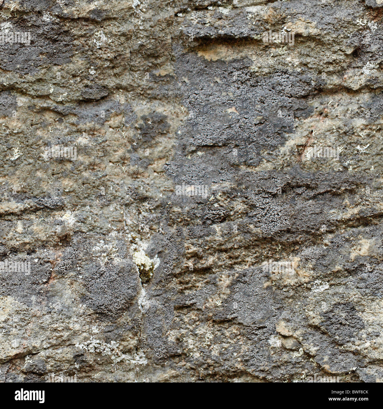 Seamless texture - the surface of natural rough stone Stock Photo - Alamy