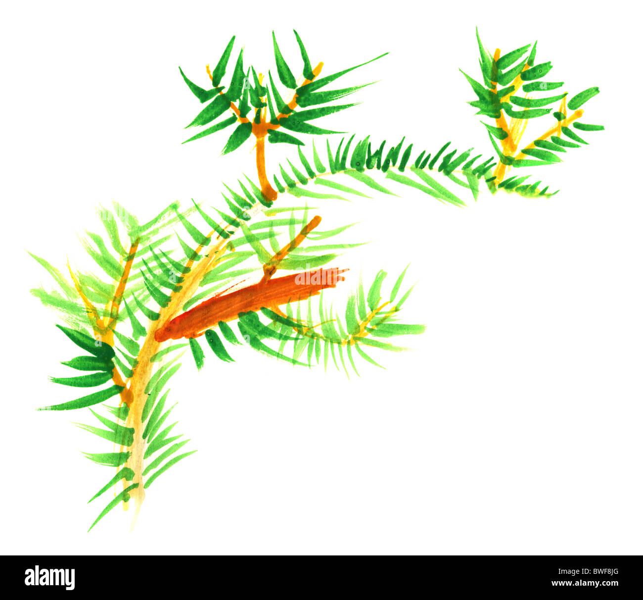 Primitive children's drawing a paint on a paper - a fur-tree branch ...