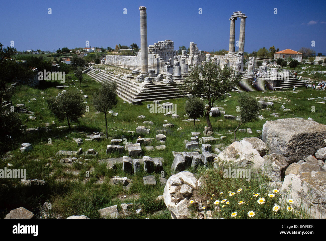 Temple of Apollo, Didim (Didyma), Turkey Stock Photo - Alamy