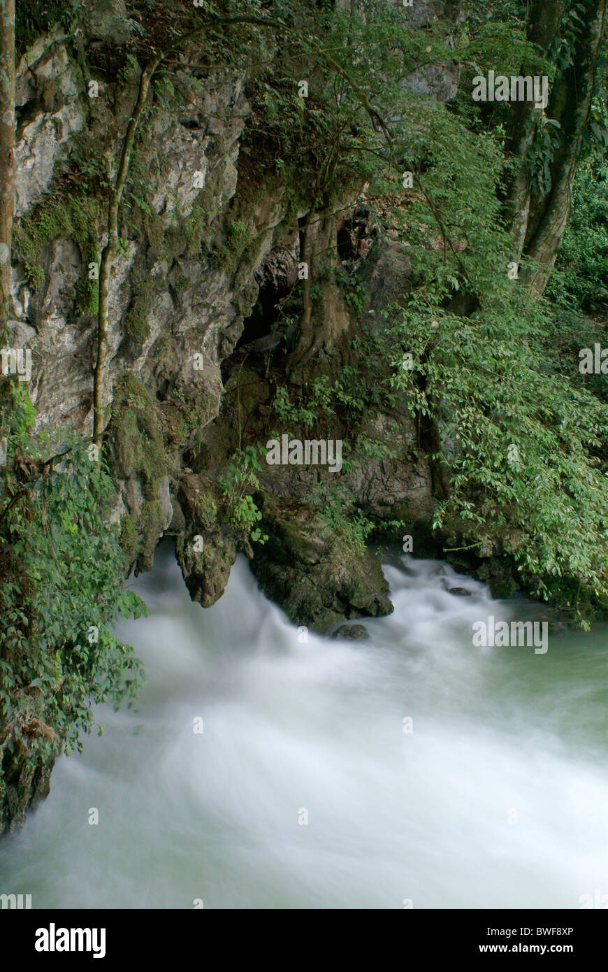 River at Grutas de Lanquin caves, Alta Verapaz, Guatemala Stock Photo ...