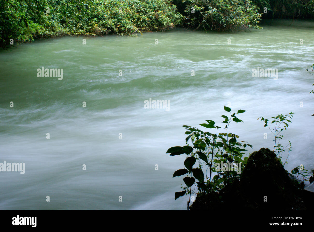 River flowing at mouth of Grutas de Lanquin caves, Alta Verapaz ...