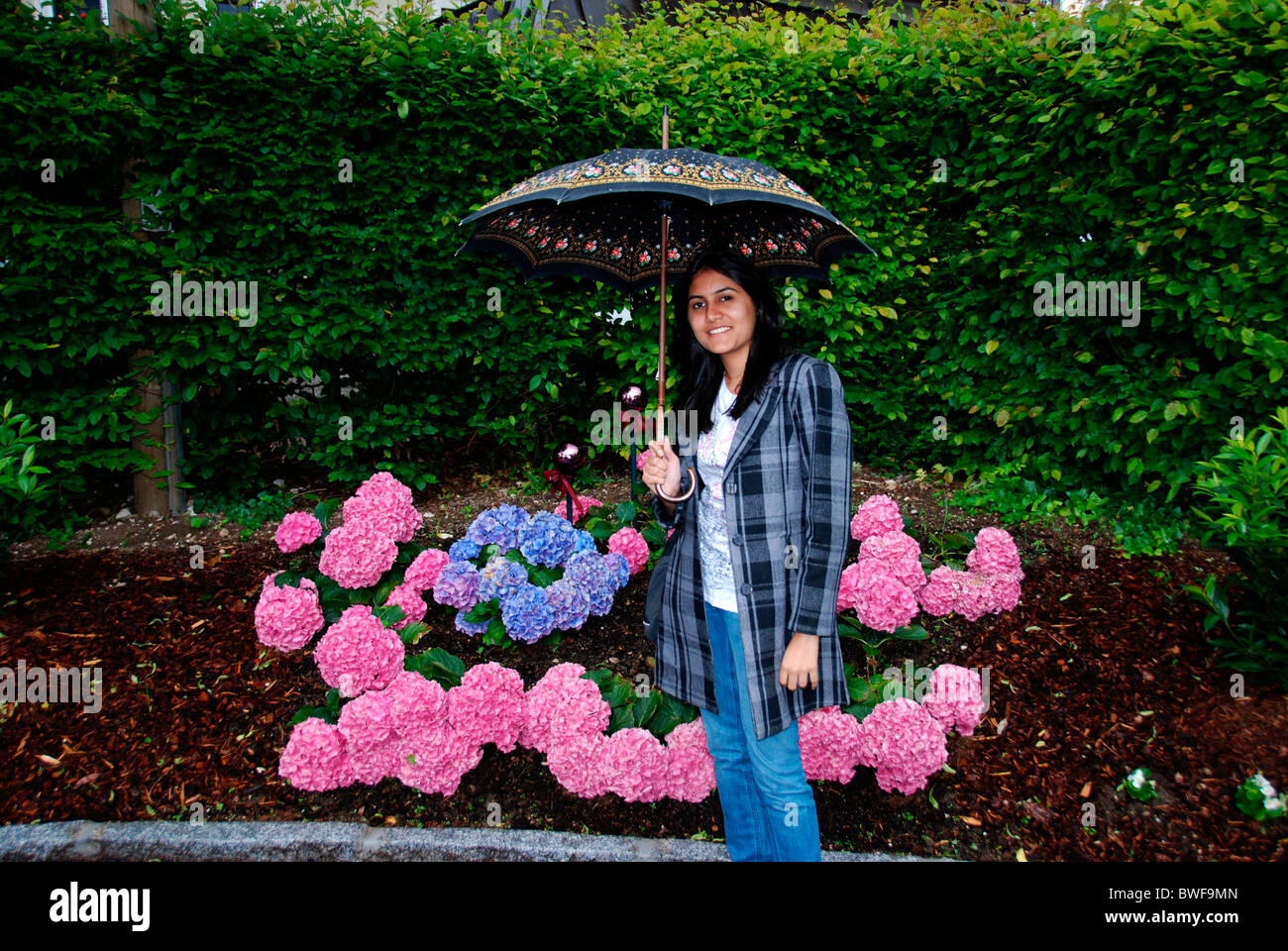 Indian Girl standing with umbrella in the background of hydrangea ...
