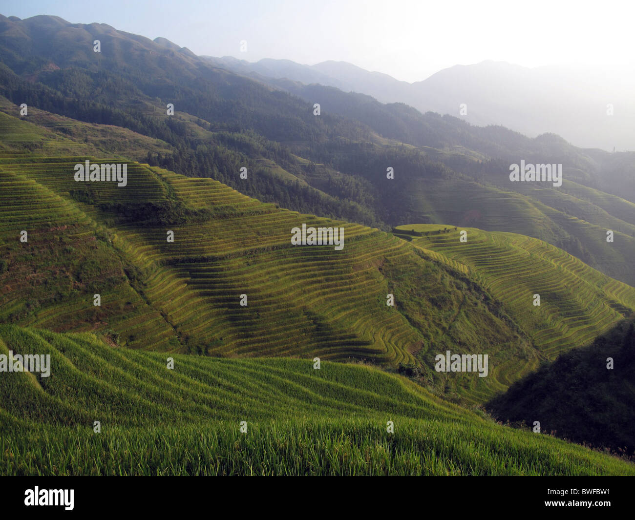 Ping An Rice Terraces, Longsheng, Longji, Guilin, China Stock Photo - Alamy