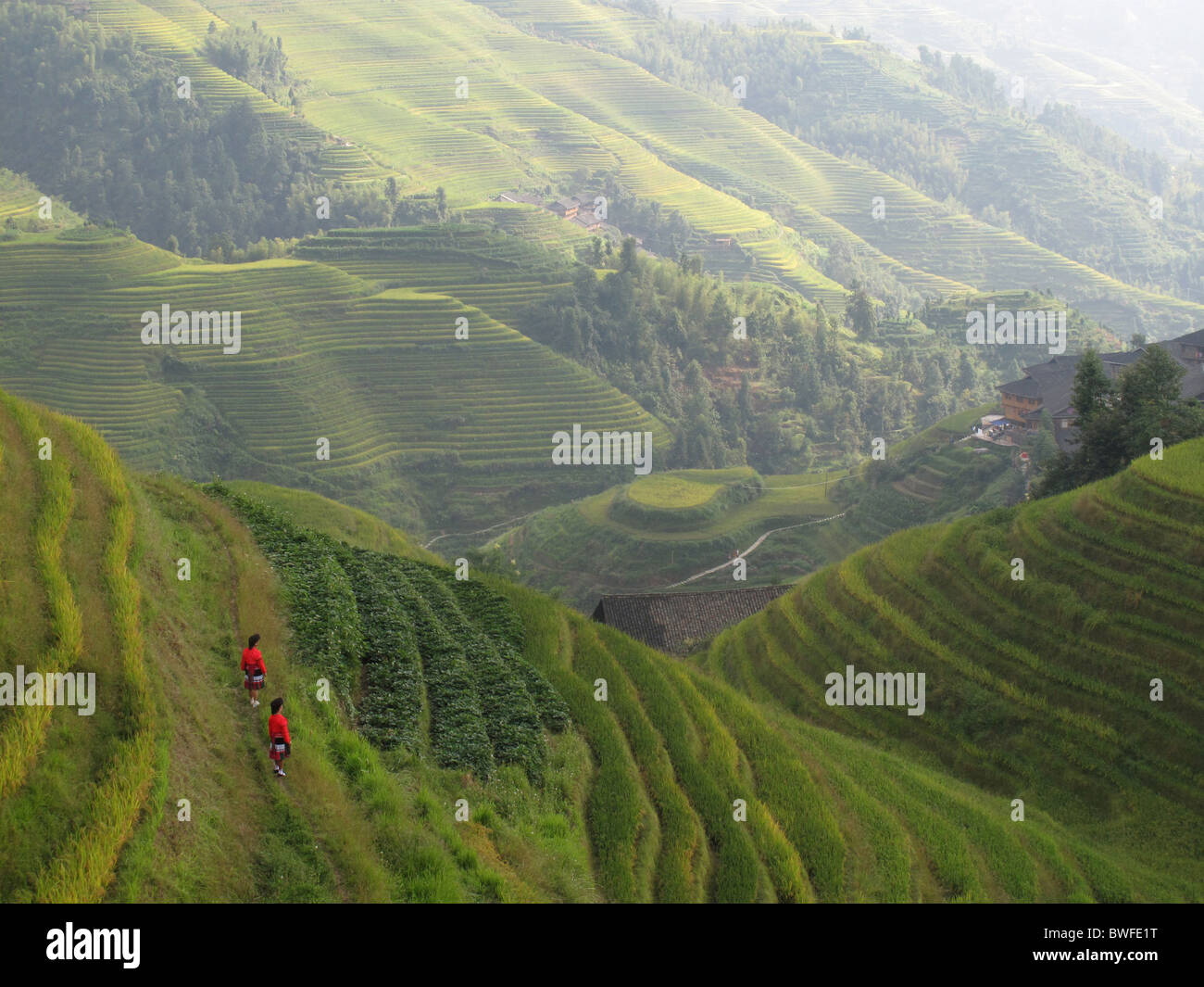 Yao women. Ping An Rice Terraces, Longsheng, Longji, Guilin, China ...