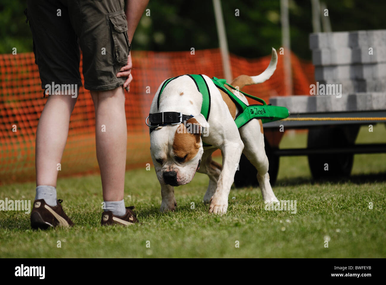 Human pulls a train hi-res stock photography and images - Alamy